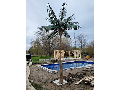 Artificial Palm Trees | Order Fake Palm Trees in Ontario, Canada | Faux ...